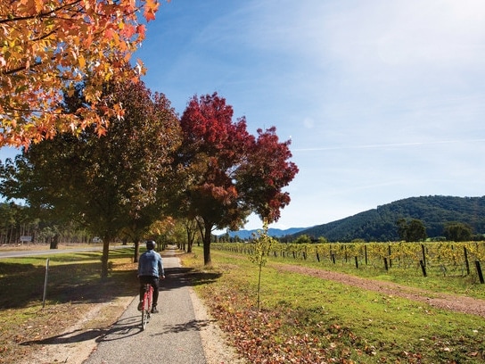 Autumn Colours of Bright in Victoria