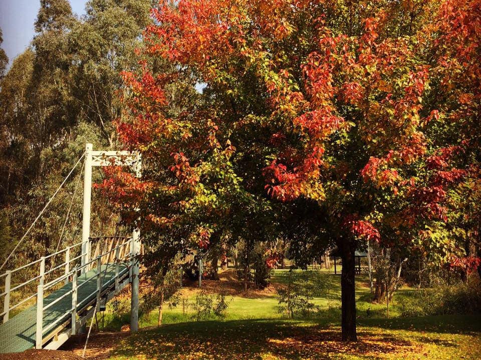 Autumn Colours of Bright in Victoria