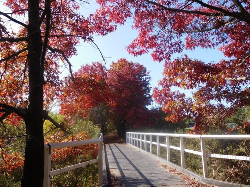 5 Reasons To Visit Bright In Autumn & Things to Do