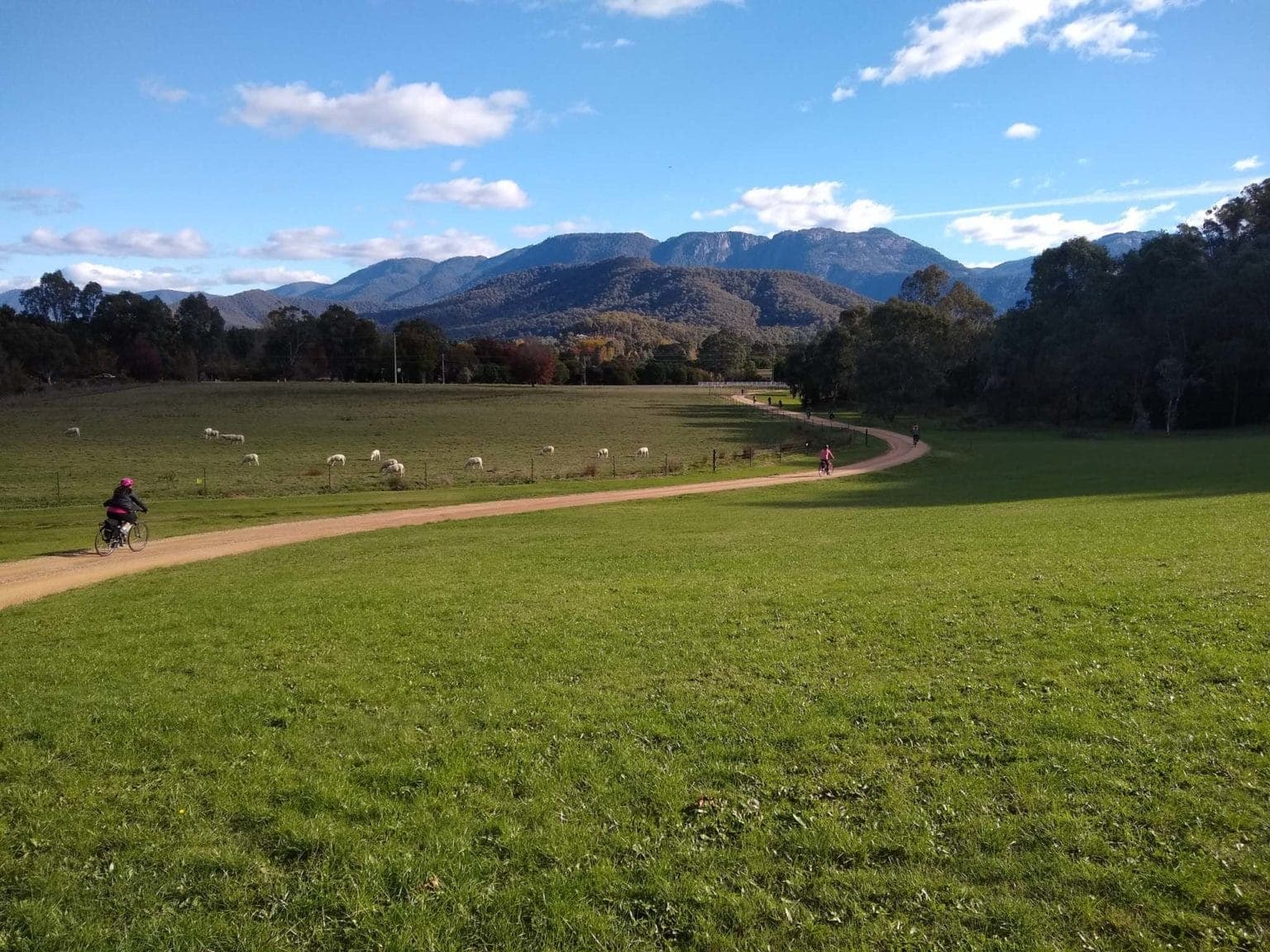 Murray to Mountains Rail Trail - The Ultimate Guide / Tour De Vines